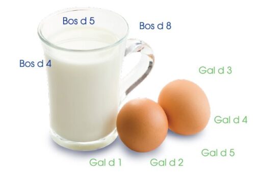 IgE ALEX2® Molecular Allergy Test (295 allergens) | ApexHealth